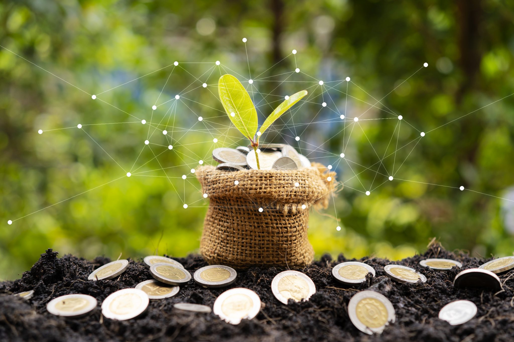 Microfinance Software Solutions - Aspekt